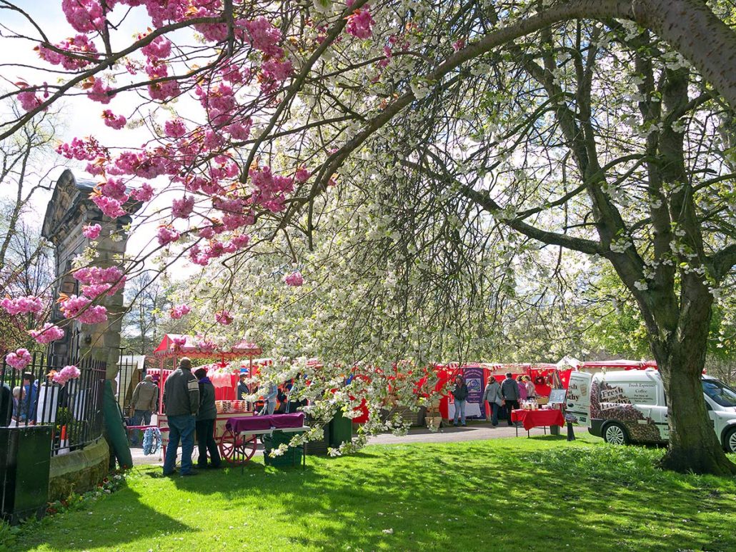 Spring Festival - Layside